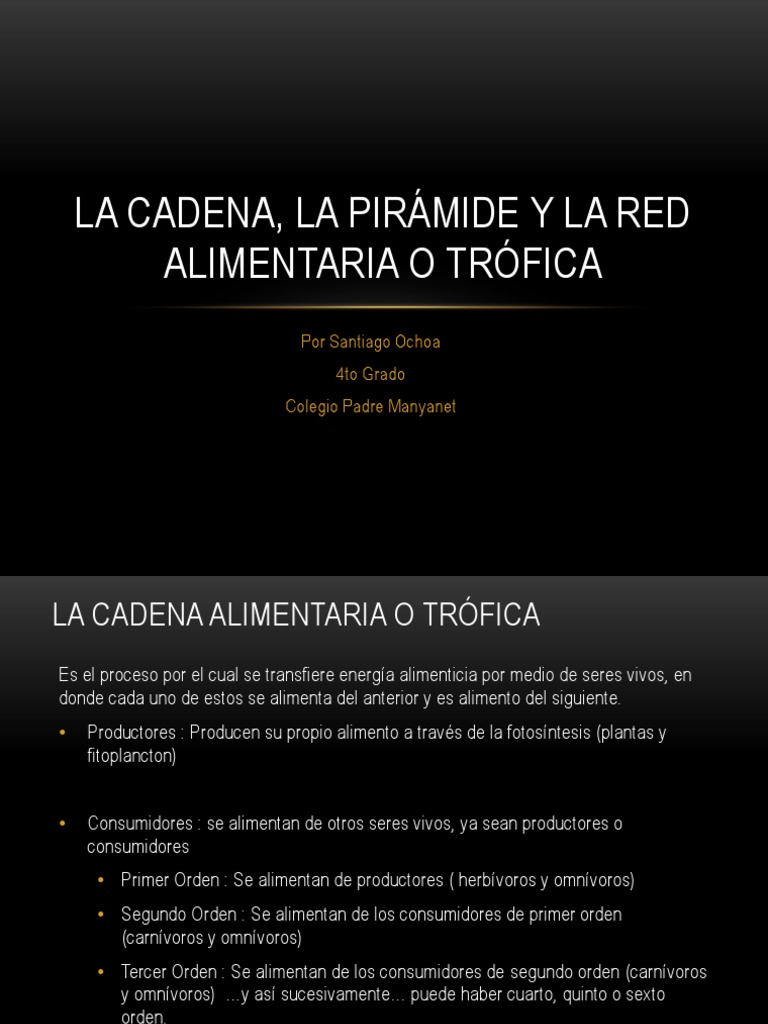La Cadena y La Pirámide Alimenticia - Santiago Ochoa 4to | PDF | Red ...
