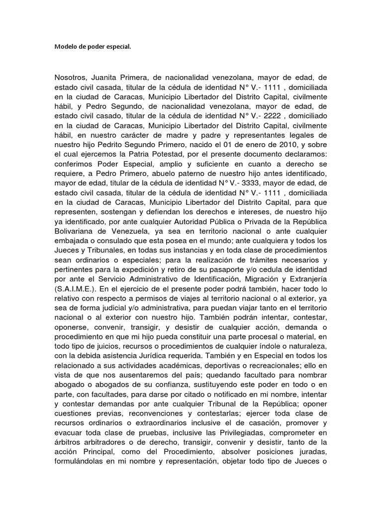 Modelo de Poder Especial | PDF | Justicia | Crimen y violencia