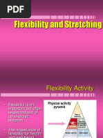 Worksheet Flexibility Facts | PDF | Flexibility (Anatomy) | Strength ...