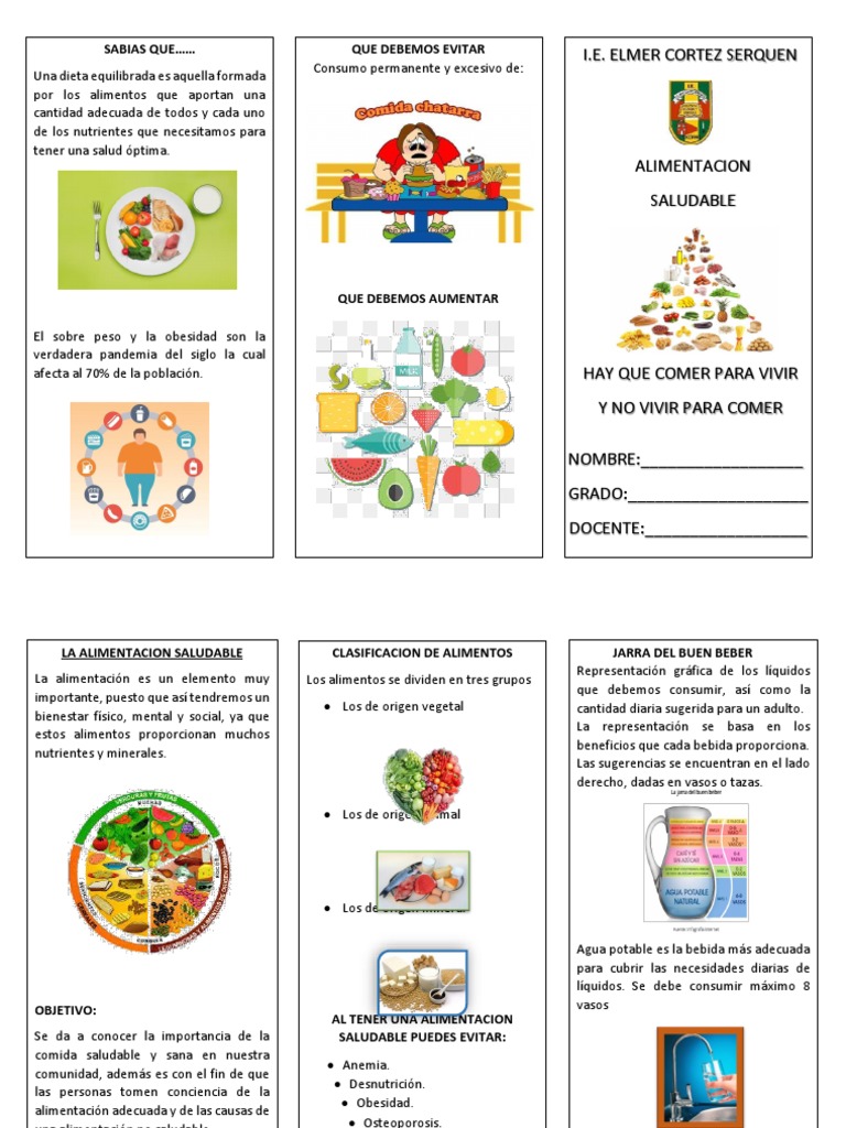 Triptico de Comida Saludable | PDF | Dieta | Alimentos