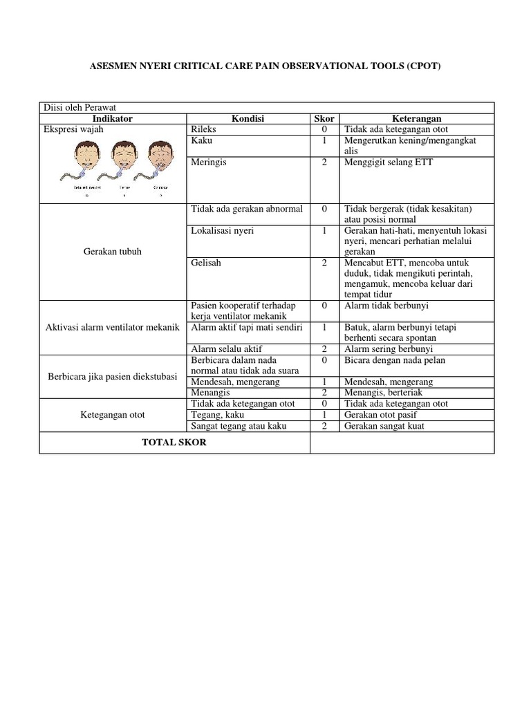 Asesmen Nyeri Critical Care Pain Observational Tools (Cpot) | PDF