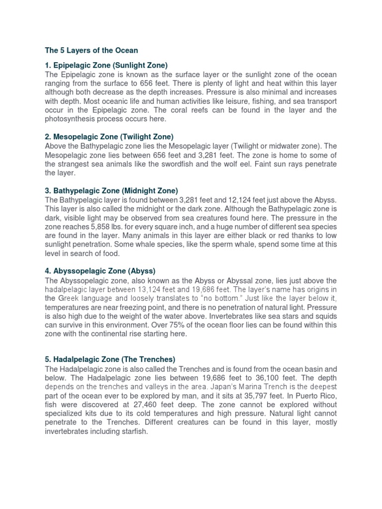 The 5 Layers of The Ocean 1. Epipelagic Zone (Sunlight Zone) | PDF ...