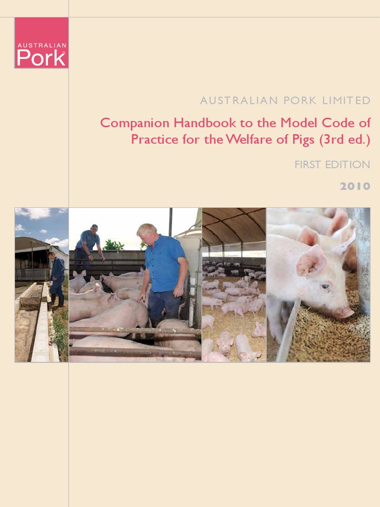 APL Companion HandBook To The Model Code of Practice 2010 | PDF ...