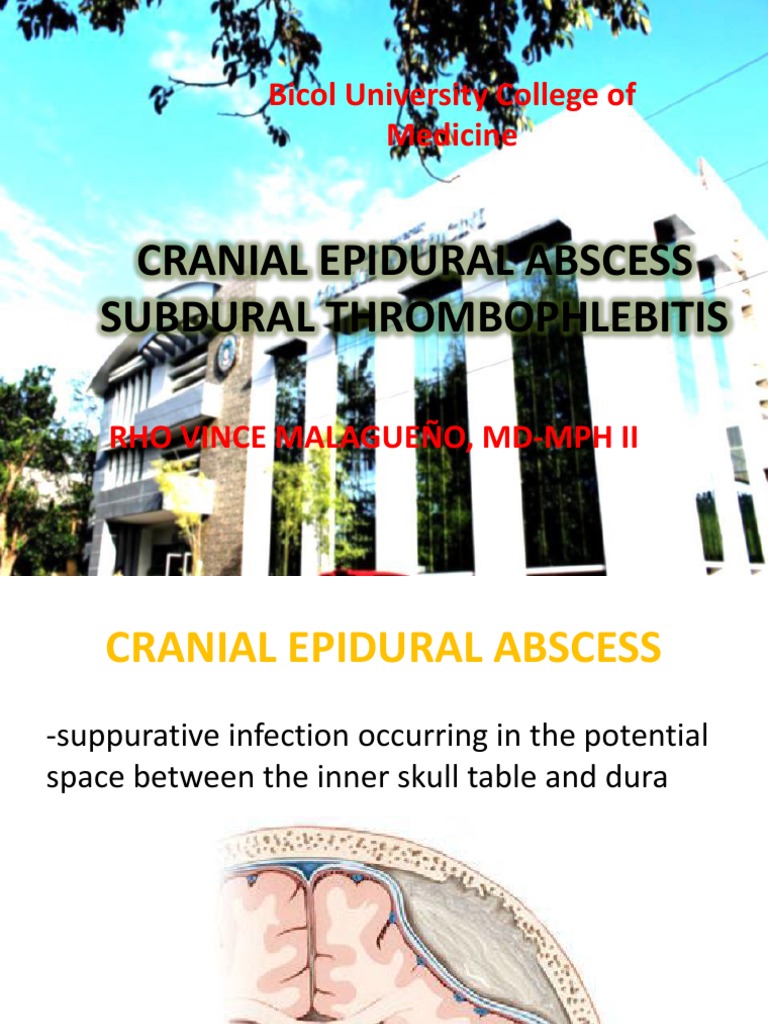 Cranial Epidural Abscess | PDF | Meningitis | Thrombosis
