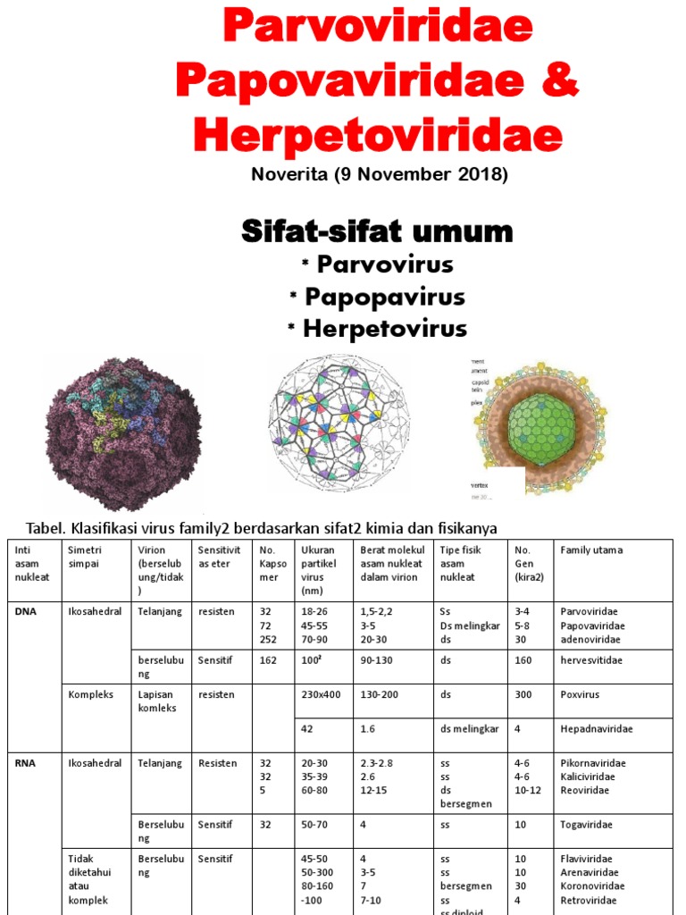 Papovaviridae - PPTX New | PDF | Griya & Taman | Kesehatan Holistik