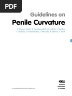 Class 9 Sentence Rearrangement Exercises | PDF | Nature | Wellness
