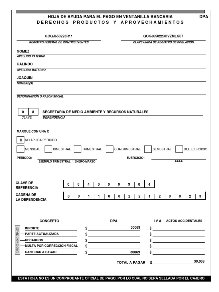 Pago de La MIA Formato E5 | PDF | Business