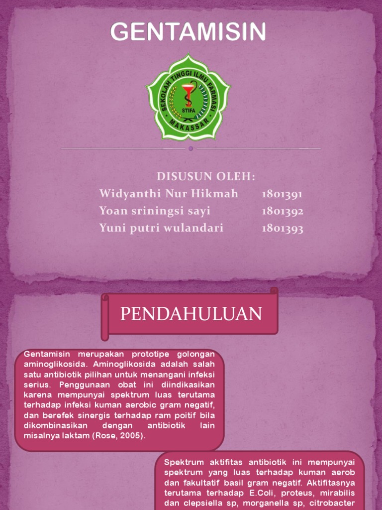 Informasi Gentamisin dan Gentasolon | PDF | Kesehatan Holistik