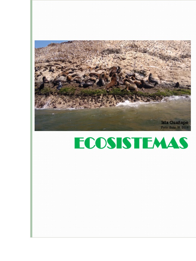 Ecosistemas lectura | Biodiversidad | Ecosistema