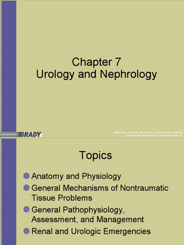 Urology And Nephrology Pdf Kidney Organ Anatomy