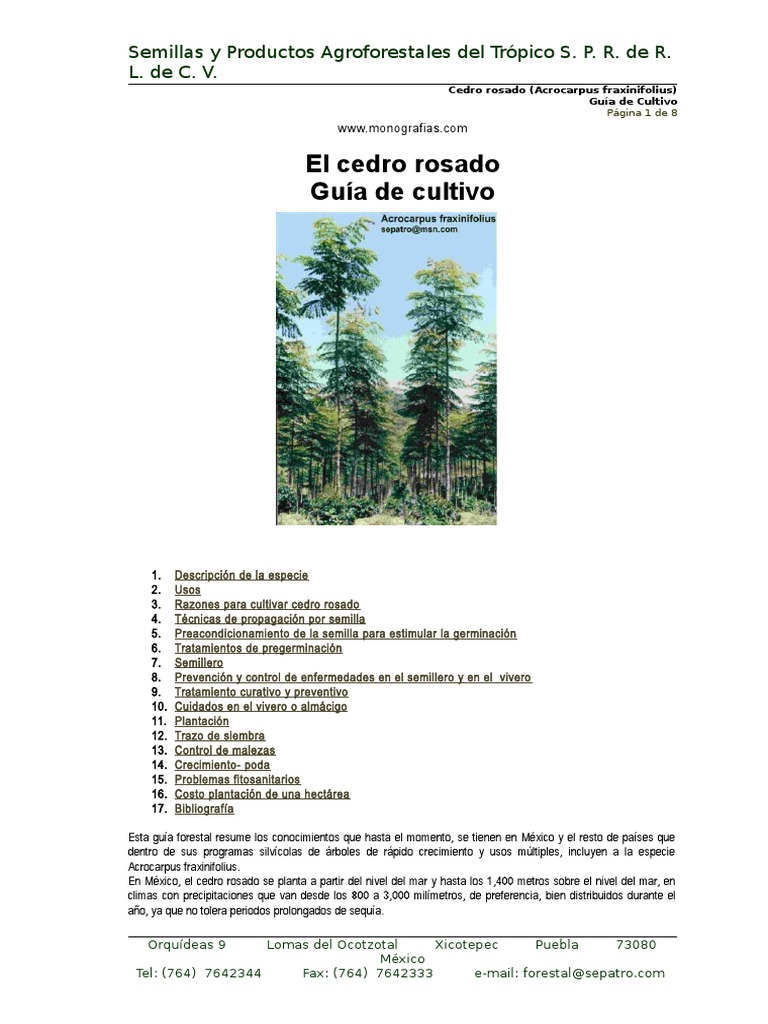 Guía de Cultivo del Cedro Rosado | PDF | Siembra | Madera
