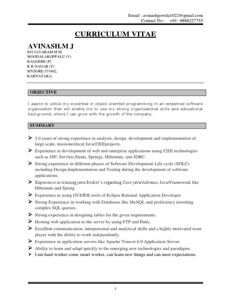 Curriculum Vitae: Avinash.M J | PDF | Eclipse (Software) | Java Server Pages