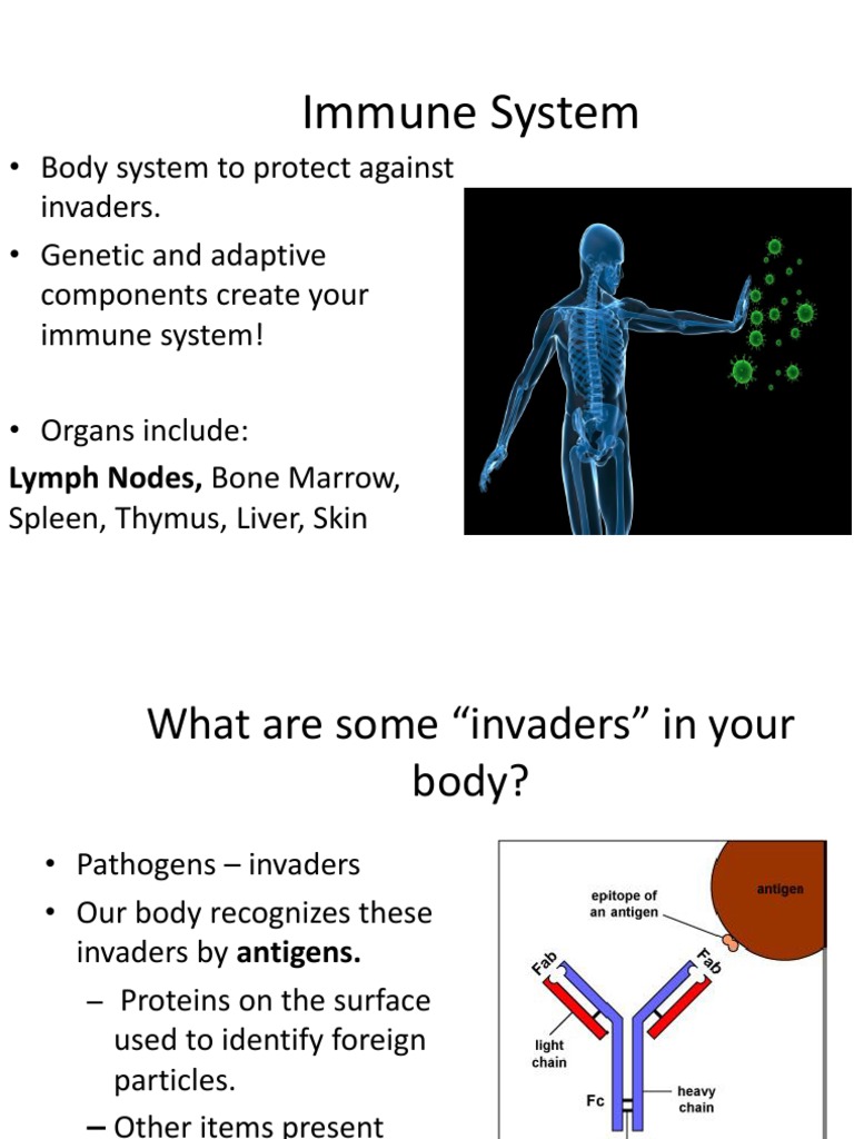 Immunity | PDF | Self-Improvement