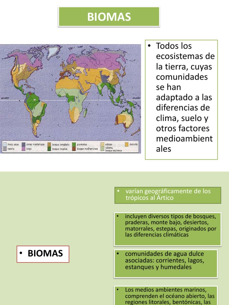 Biomas y Ecosistemas de Ecuador | Clima | Habitat