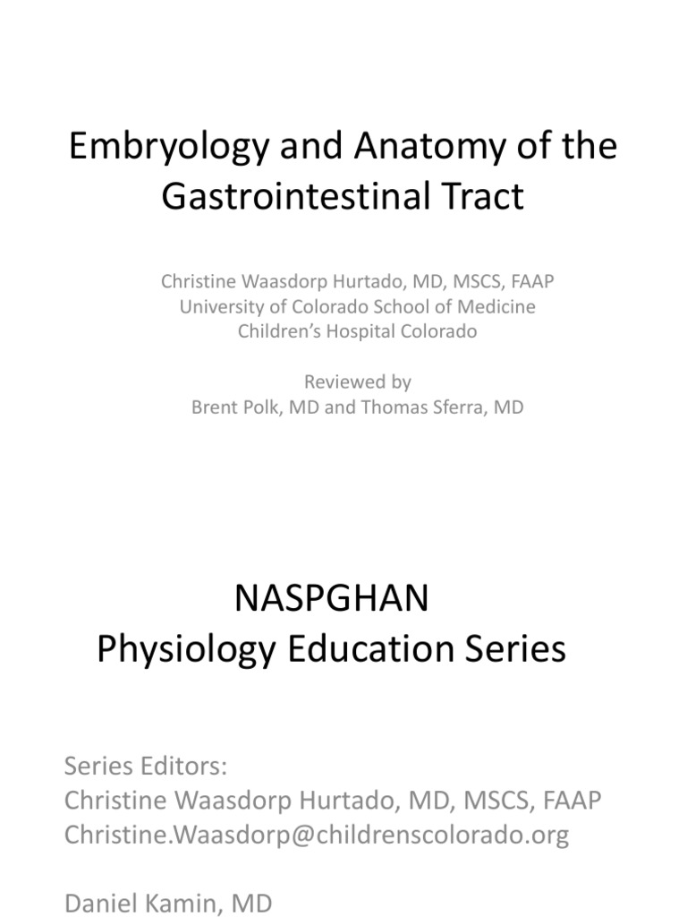 Embryology and Anatomy of The Gastrointestinal Tract | PDF | Stomach ...