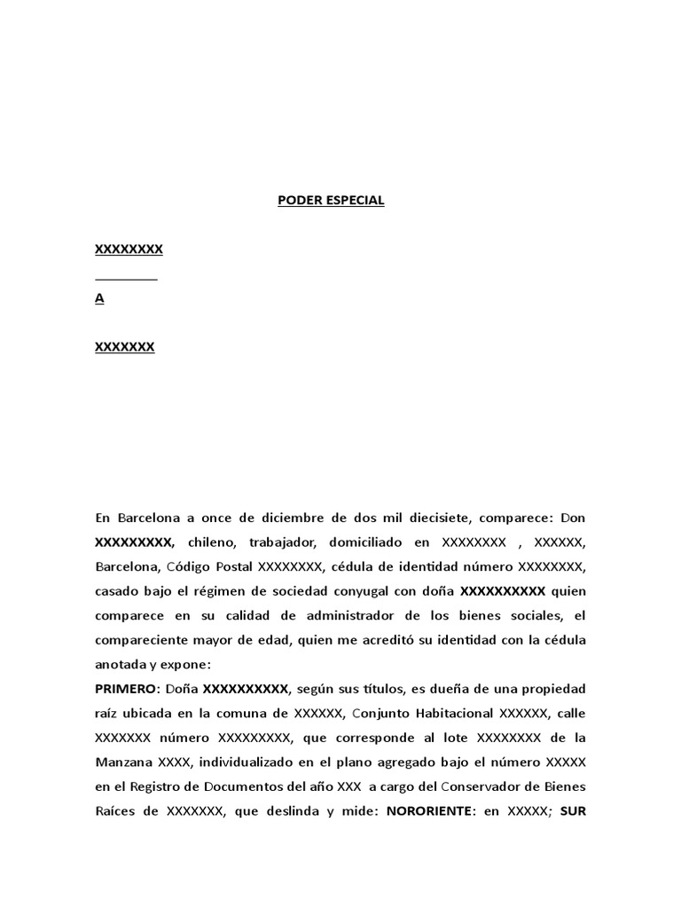 MODELO PODER ESPECIAL OTORGADO EN EL EXTRANJERO | Instituciones ...