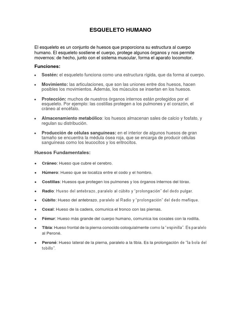 Esqueleto Humano | PDF | Esqueleto | Hueso