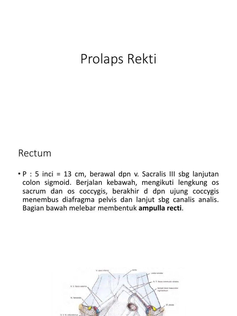 Prolaps Rekti | PDF