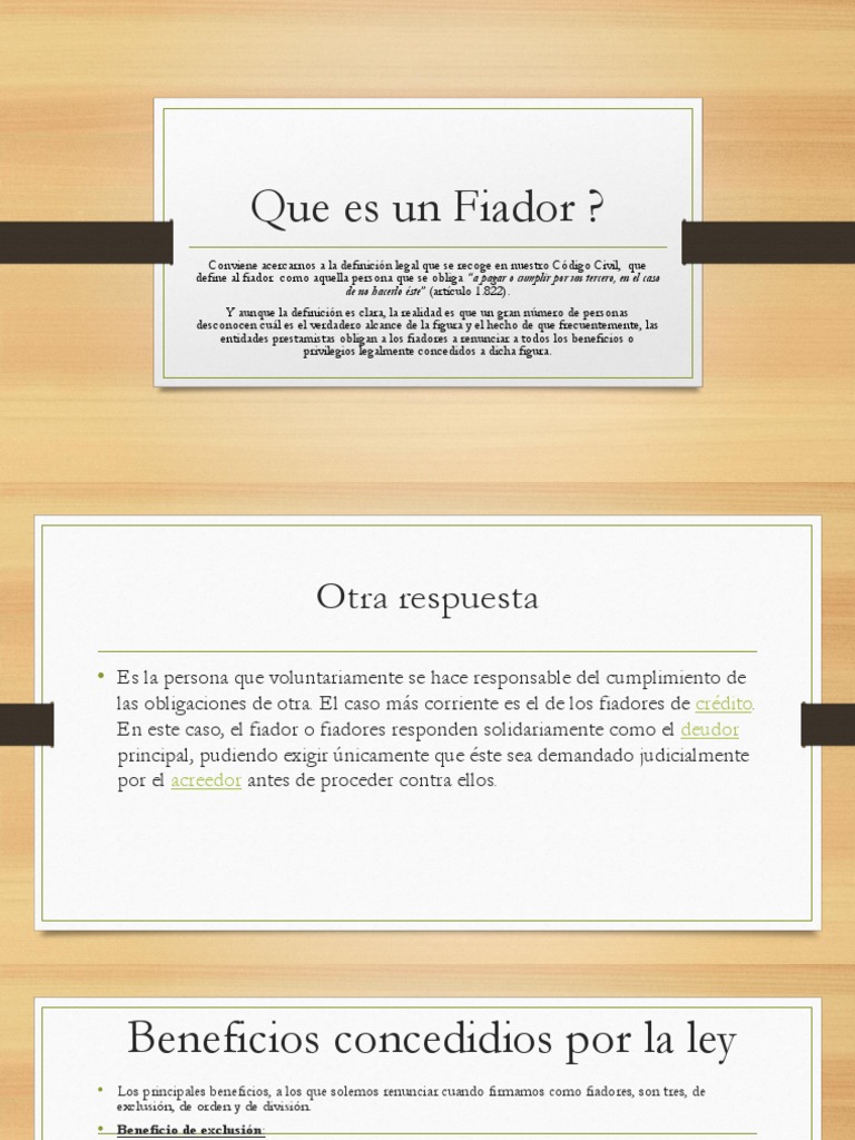 Que Es Un Fiador | Descargar gratis PDF | Gobierno | Justicia