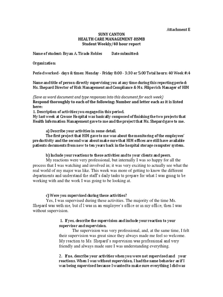 Weekly Report 4 | PDF | Supervisor | Employment