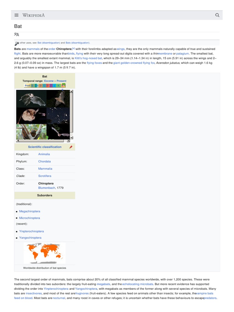 The Fascinating World of Bats: Exploring Their Evolution, Ecology, and ...