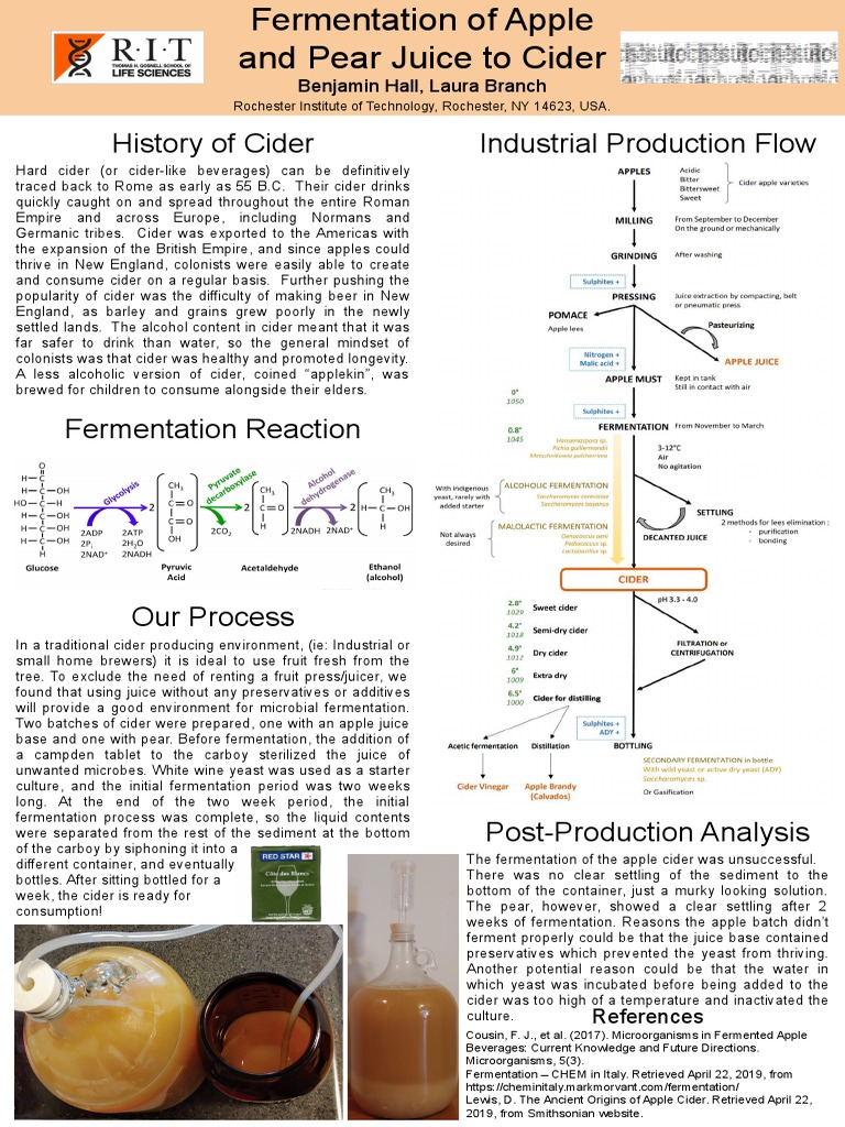 Cider Poster | PDF | Cider | Brewing
