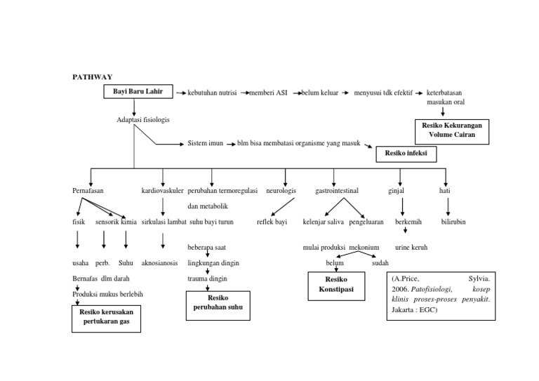 Pathway Bayi Baru Lahir Fix PDF | PDF