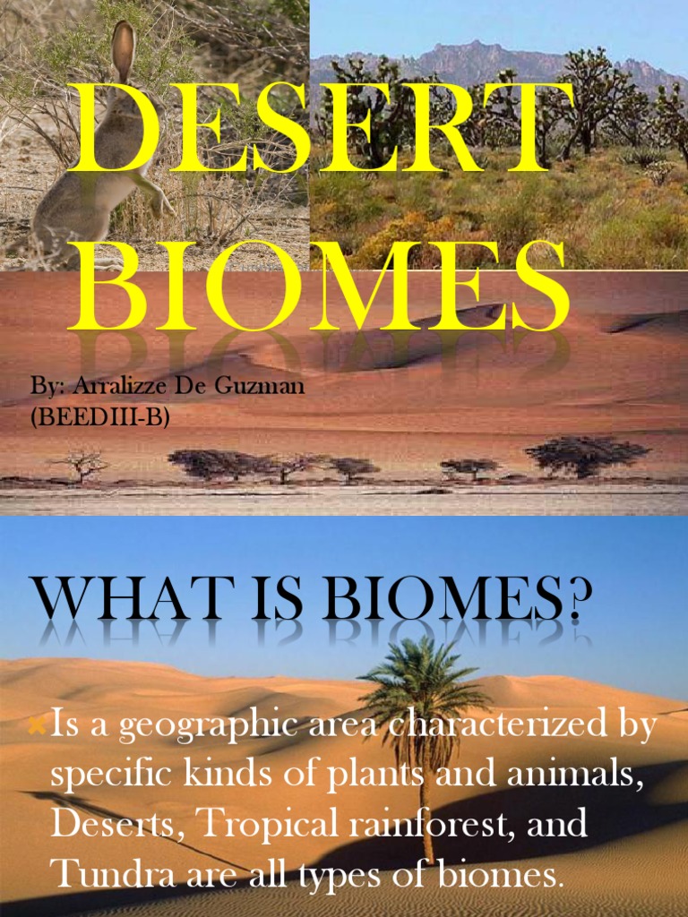 Desert Biomes Explained | PDF | Desert | Precipitation