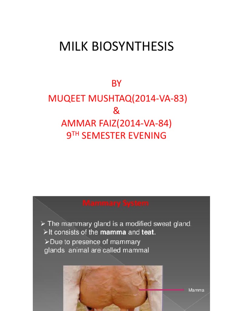 Milk Biosynthesis: BY MUQEET MUSHTAQ (2014-VA-83) & AMMAR FAIZ (2014-VA ...