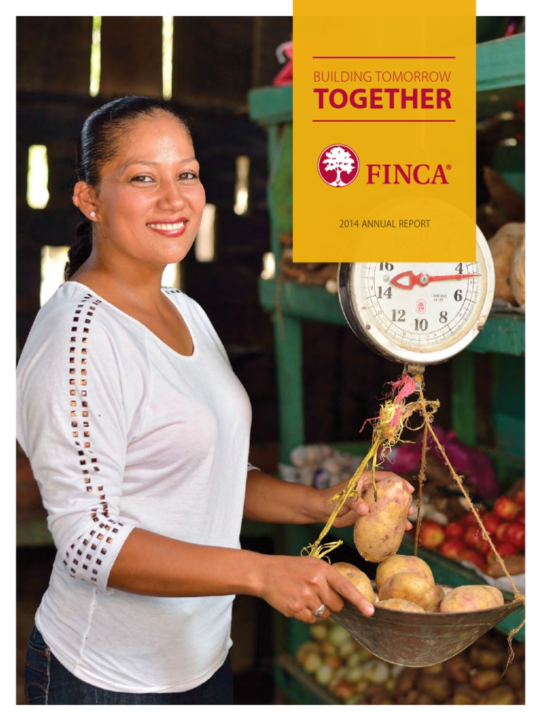 Finca Bank LTD | PDF | Microfinance | Revenue
