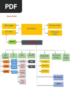 BNM Organisation Chart PDF | PDF