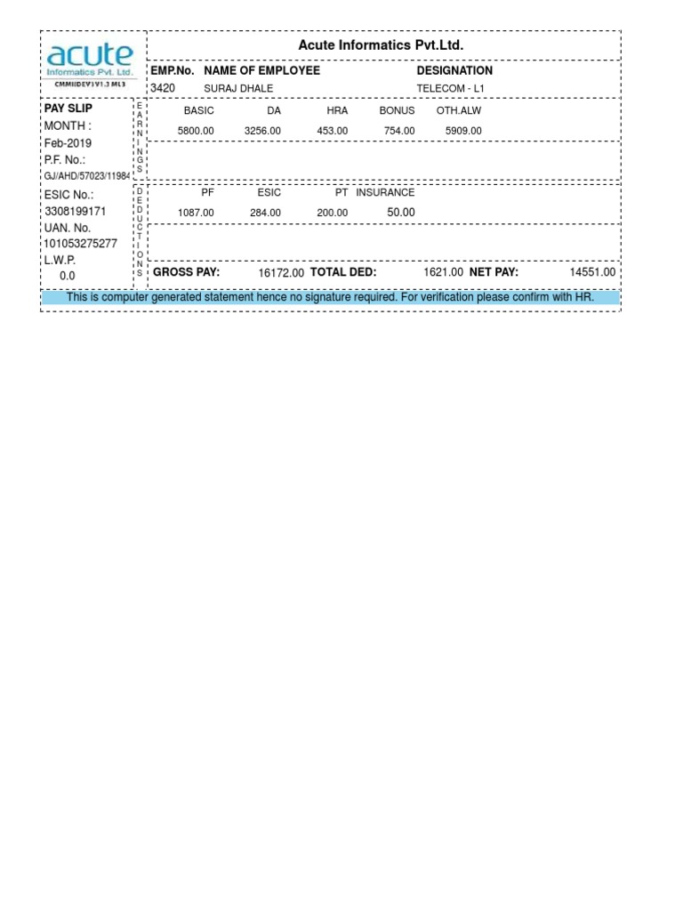 Feb 2019 Pay Slip - Acute Informatics | PDF