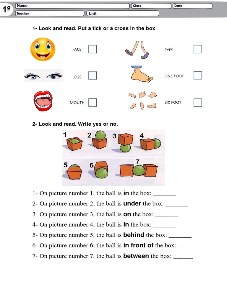1-Look and Read. Put A Tick or A Cross in The Box | PDF