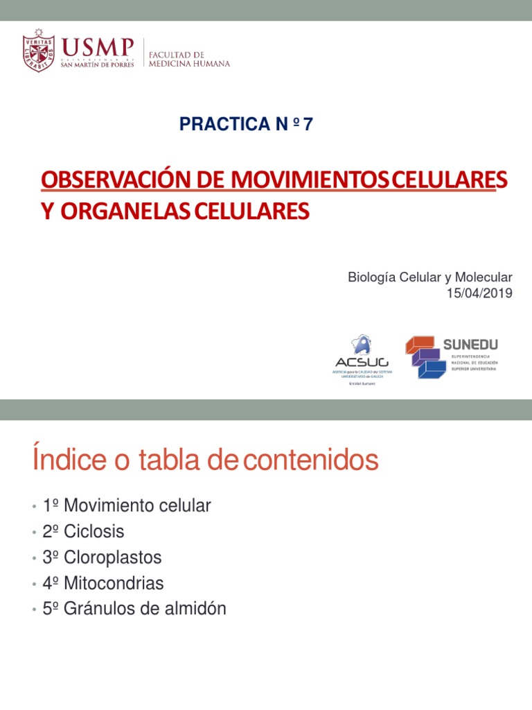 Semana 7 - Práctica-Ciclosis y Observación de Organelas | PDF ...