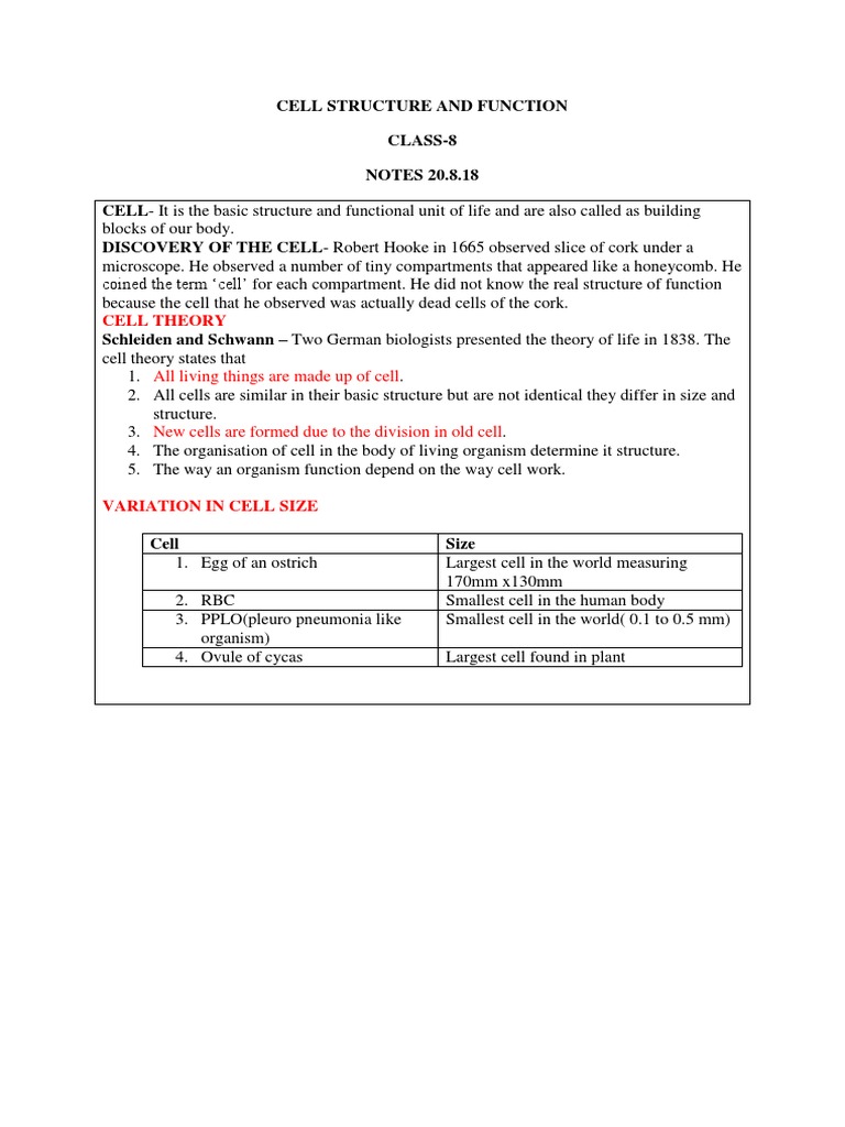Cell Structure and Function - Output | PDF | Cell Nucleus | Cell (Biology)