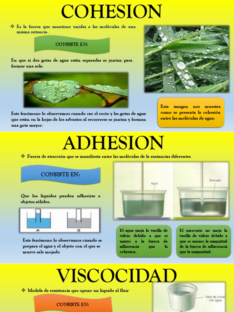 Cohesion Rocio | PDF | Viscosidad | Líquidos
