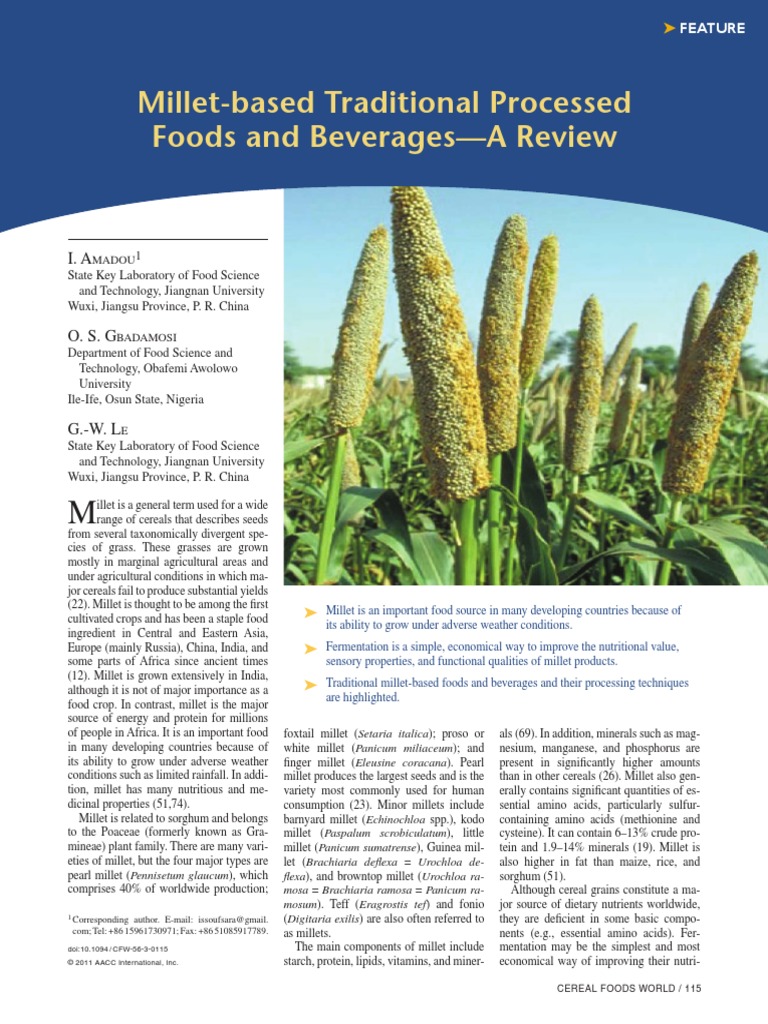 Millet Based Tradiitional Processed Foods and Beverages Review PDF ...