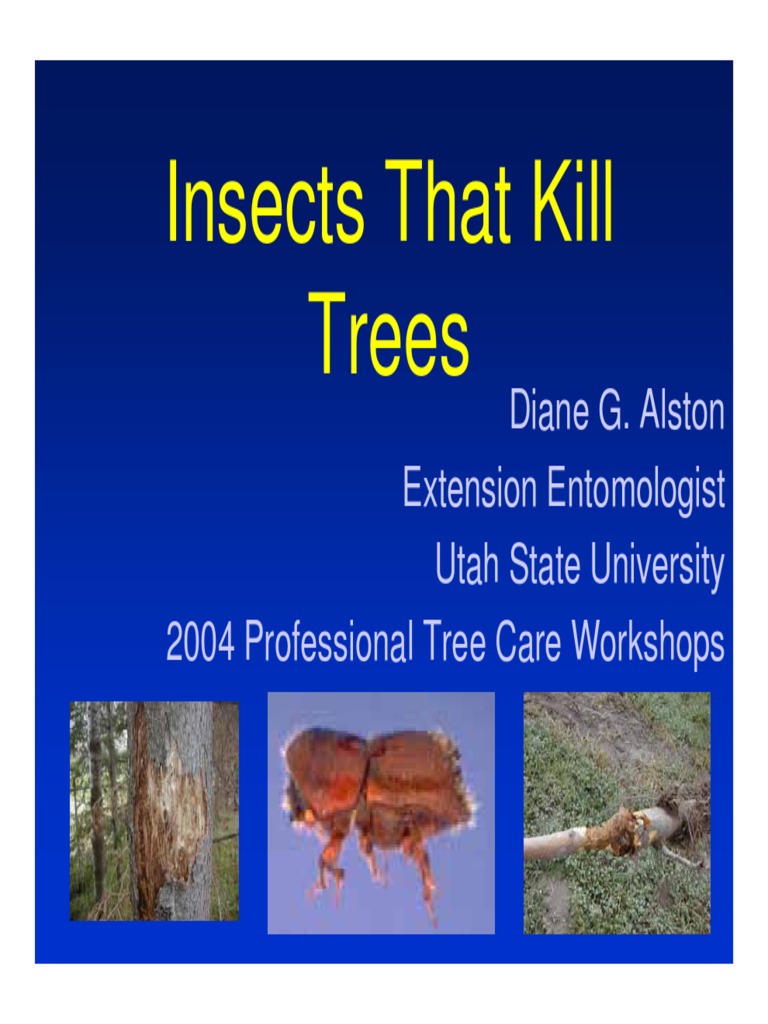 02 Graphing 2009 | PDF | Trees | Plants