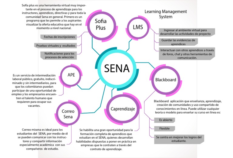 Mapa Conceptual Sena | PDF | Enseñando | Informática