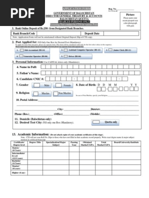 Bae Application Form