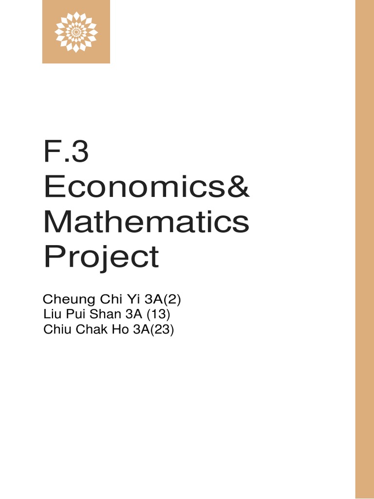 Econ Math Project | PDF | Salary | Tax Rate