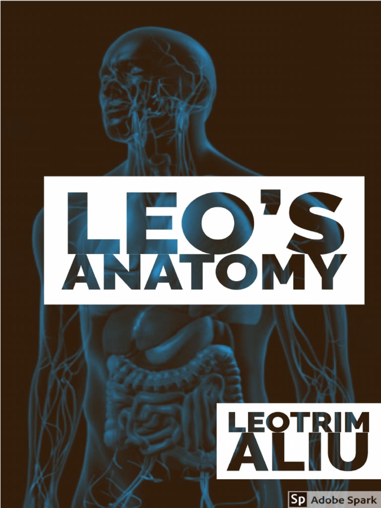 Leo's Anatomy Notes-Leotrim Aliu | PDF | Limbs (Anatomy) | Lower Limb ...