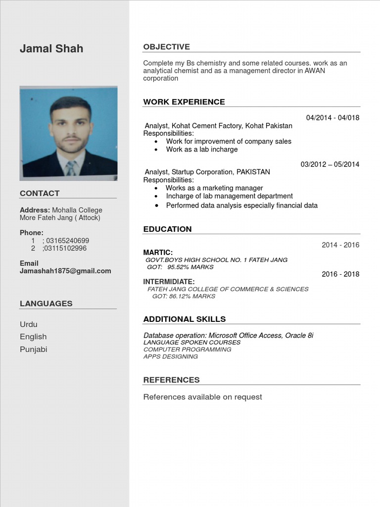 CV Formate | PDF