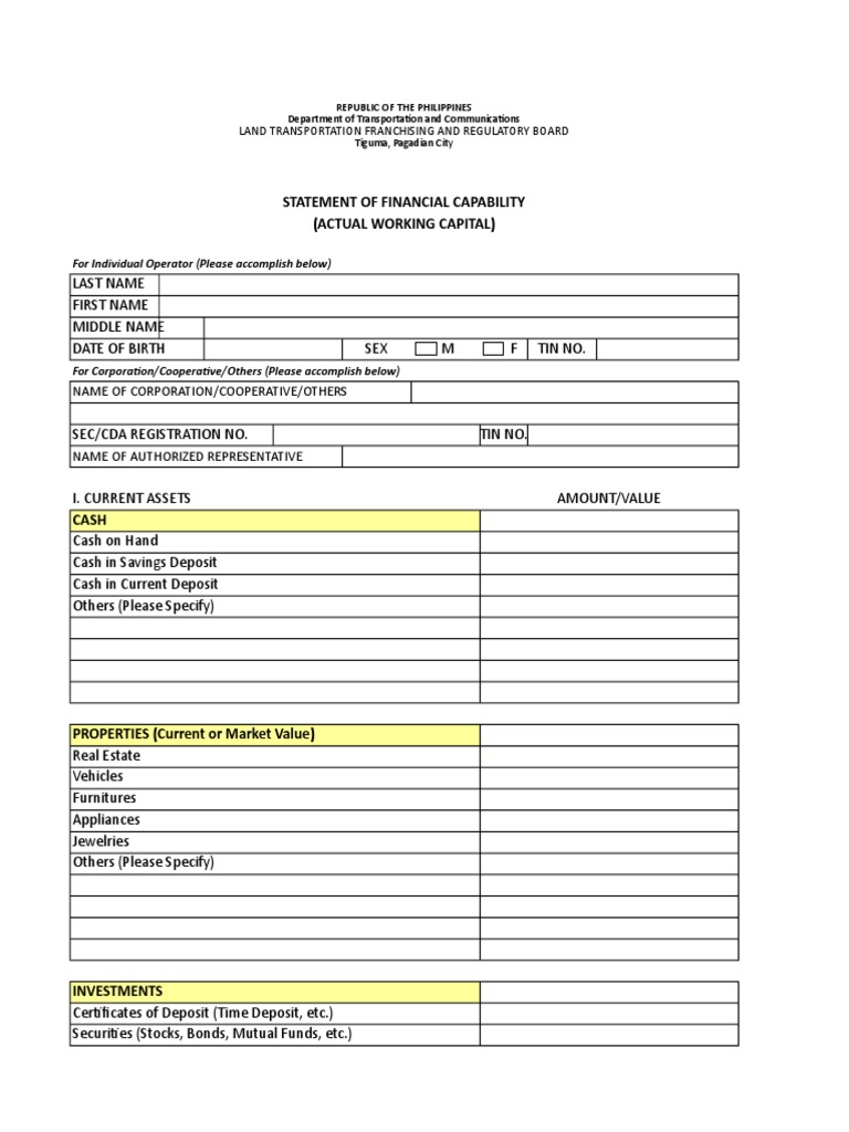 Statement of Financial Capability (Actual Working Capital) : Name of ...