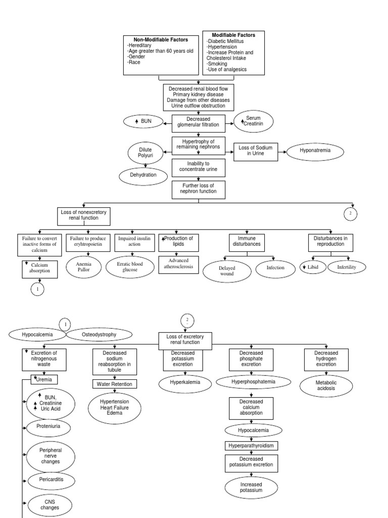 Chronic Kidney Disease: A. Pathophysiology A. Schematic Diagram | PDF ...