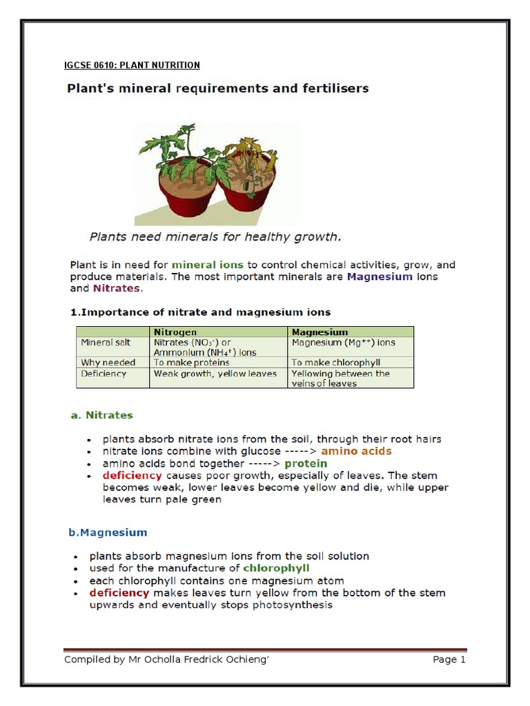 Igcse 0610 Plant Nutrients | PDF