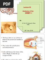 Optic Foramen Radiographic Overview | PDF