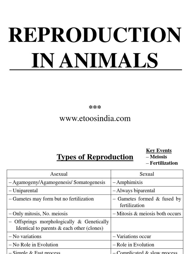 Reproduction in Animals: Class 8 Overview | PDF