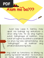 Bayan NG Rizal Final | PDF