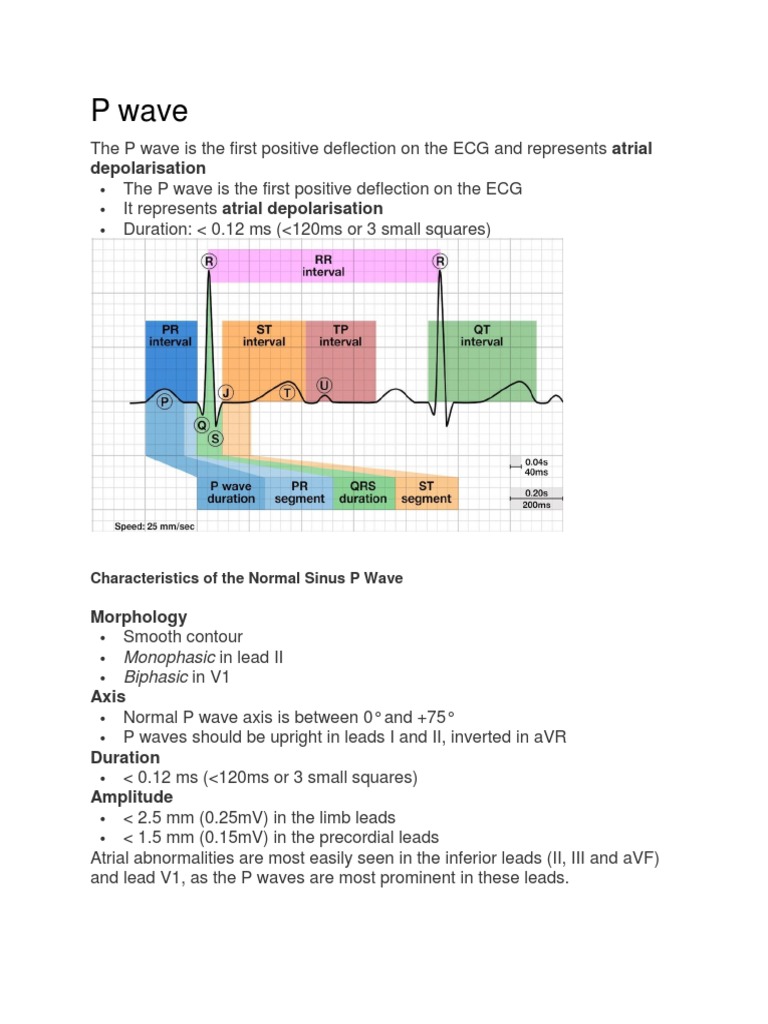ECG P Wave Characteristics | PDF | Electrocardiography | Cardiac ...